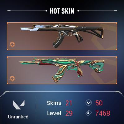 [EU]/Skins 21/knifes 0/Level 29/[IMPERIUM VANDAL/RDVR PHANTOM/COMPOSITE ...