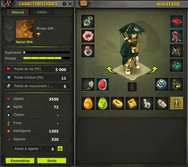 Panoplie intelligence Opti Niveau 200 pour tous les classe (Complet) + parchotage 100 All ...