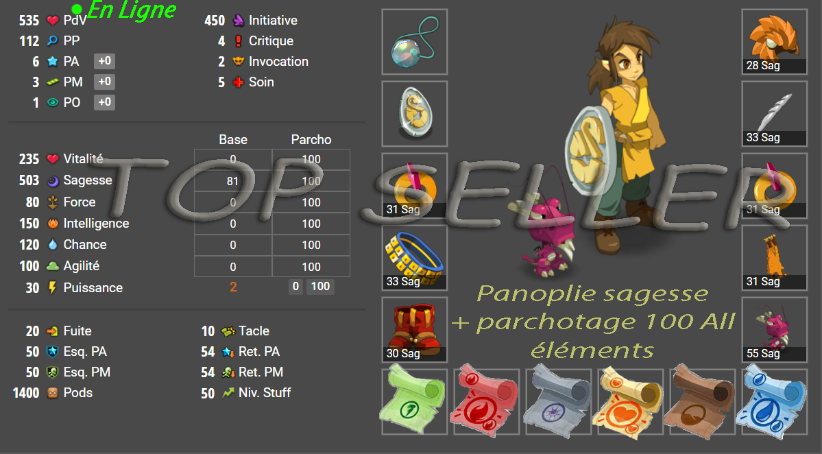pack Debutant : Kit parchotage 100 all + Panoplie sagesse lvl 50 + 5. ...