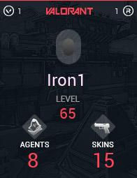 EU +65 Level |Agents 8 | Skins 15 | Ready Rank - iGV