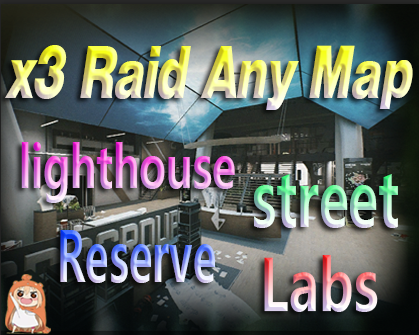 x3 Raid CARRY/RUN/ Any Map-[Labs,Street,Lighthouse,Customs,Woods ...
