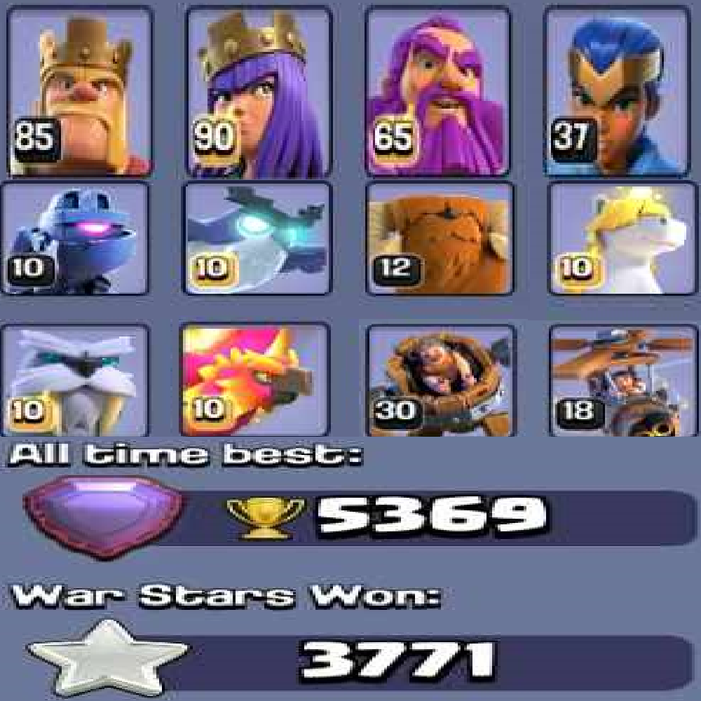max th15 - iGV