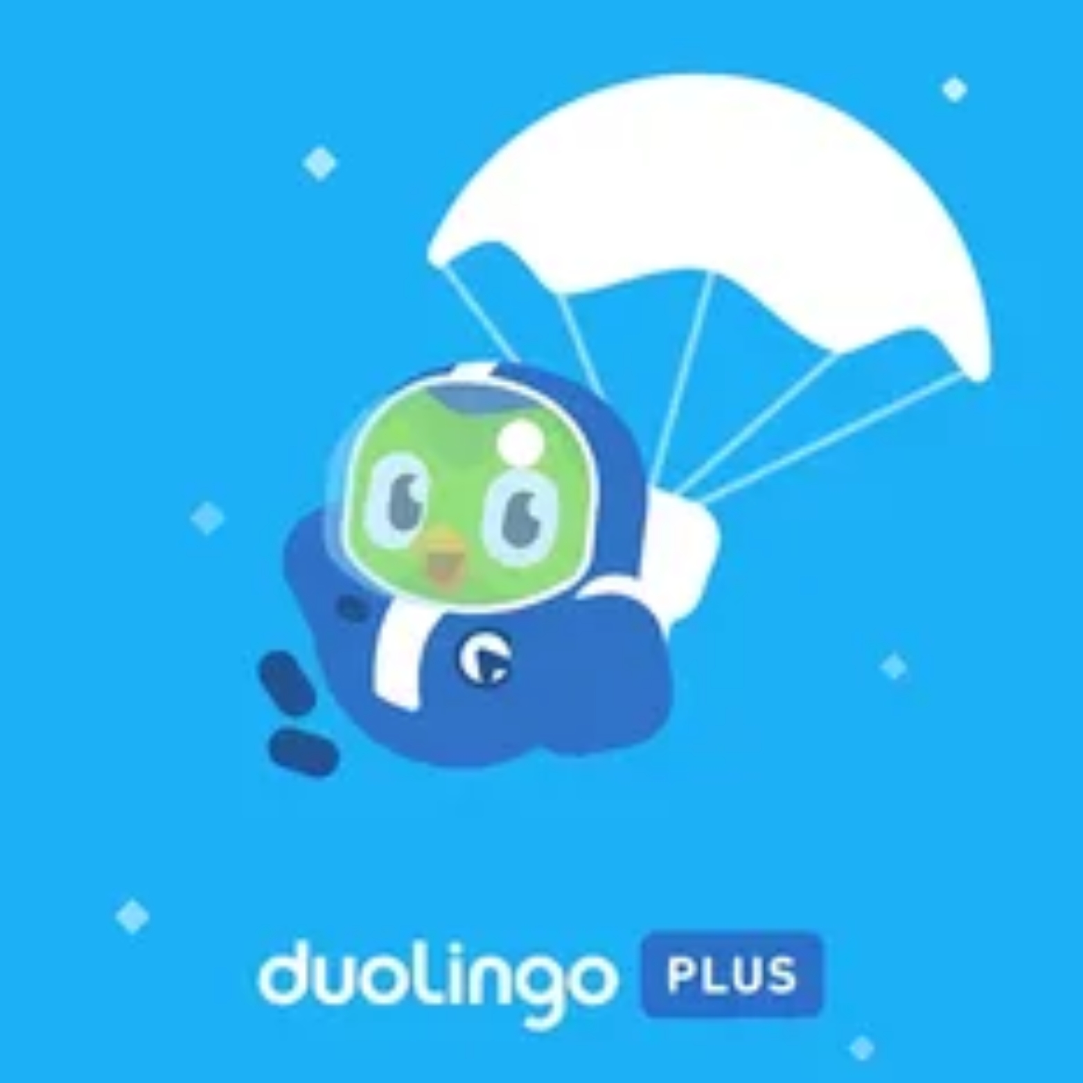 Buy activation Duolingo Plus 12 month subscription | To your account ...