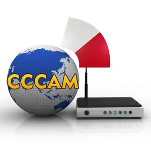 CCCAM 8 LINES FOR 12 MONTHS- FREE TEST FOR 24 HOURS AVAILABLE - iGV
