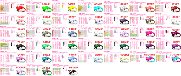 ASA PVE FULL COLOR OTTERS [CLONE] MALE OR FEMALE 38 COLORS AVAILABLE - iGV