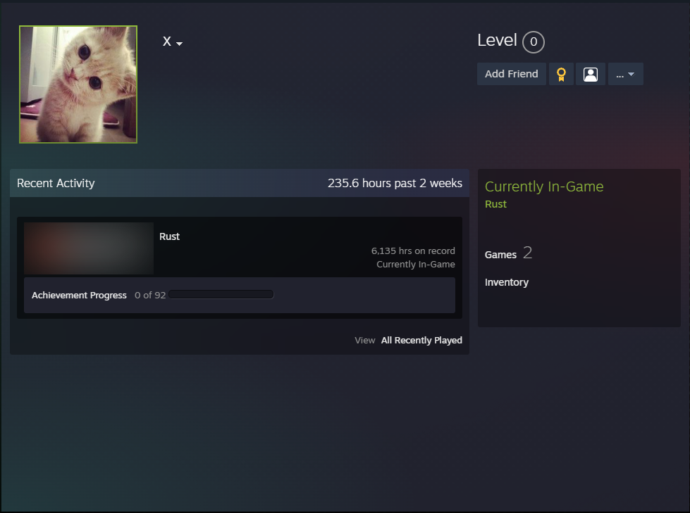 9197 hours Rust account | Full access | Region Free | No bans | Instant ...