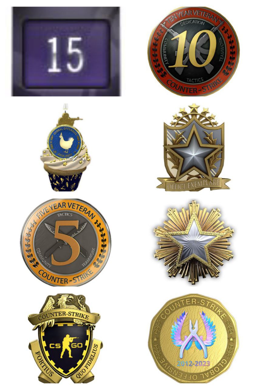 CS2 Prime 1732 hours+7 medals+15 Game-15 Years of Service - iGV