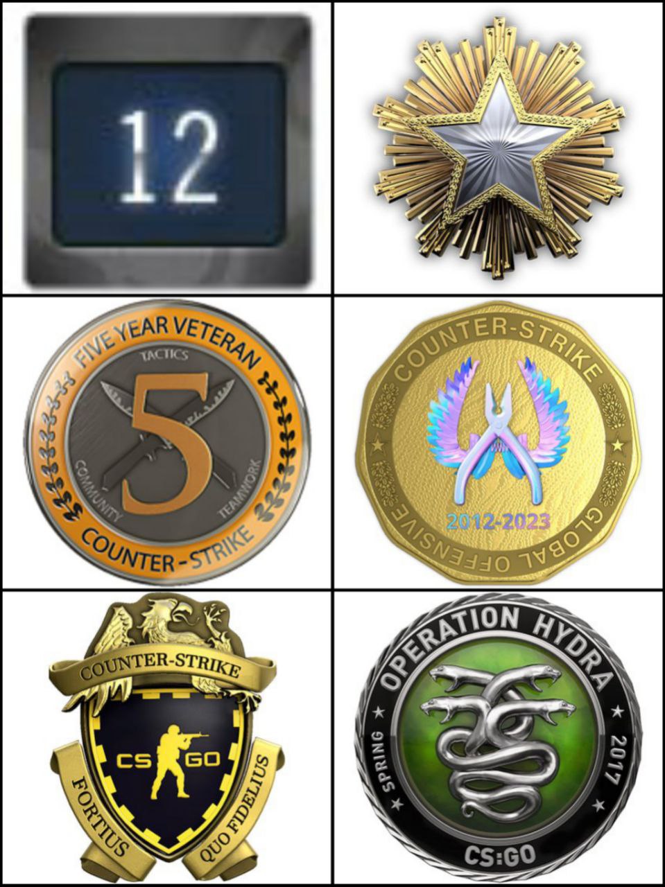 CS2 Prime 557 hourse+5 medals(Silver Operation Hydra Coin\2016 Service ...