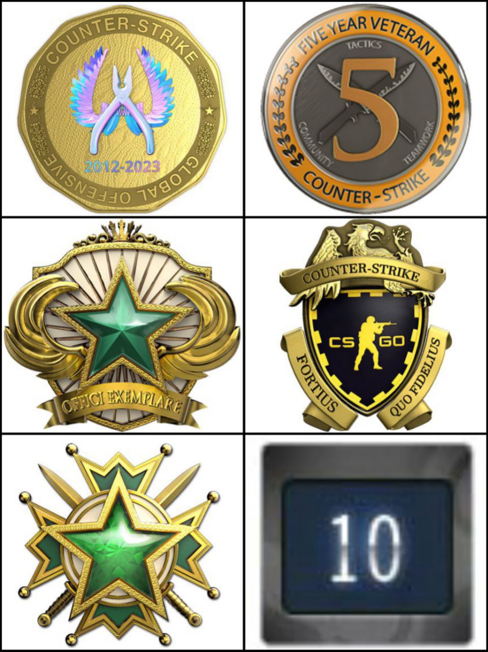 CS2 Prime 1463 hours+5Medals(2019-2018 Service Medal/Loyalty Badge/5 ...