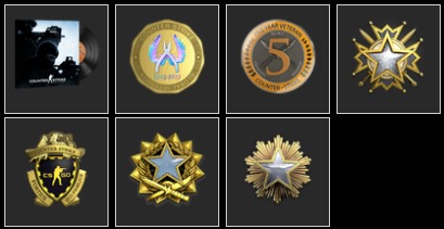 CS2 Prime 880 hourse+6Medals(2016-2017-2019 Service Medal/5 Year ...