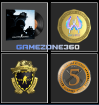 PRIME-Last Online 3 years ago- 5Y, Loyalty Badge, Global Offensive Badge-NO VAC-178 hrs - iGV