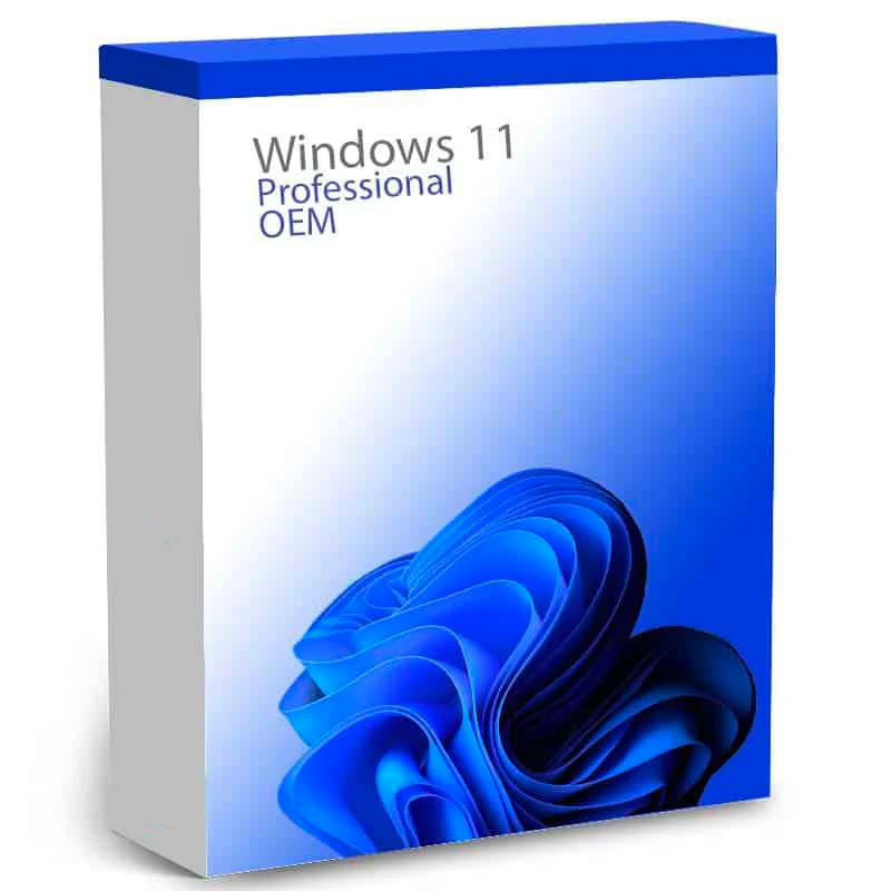 Windows 11 Pro | OEM | 1 PC - iGV