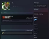 Cheap Rust Accounts | Rust Accounts for Sale - iGV & iGVault