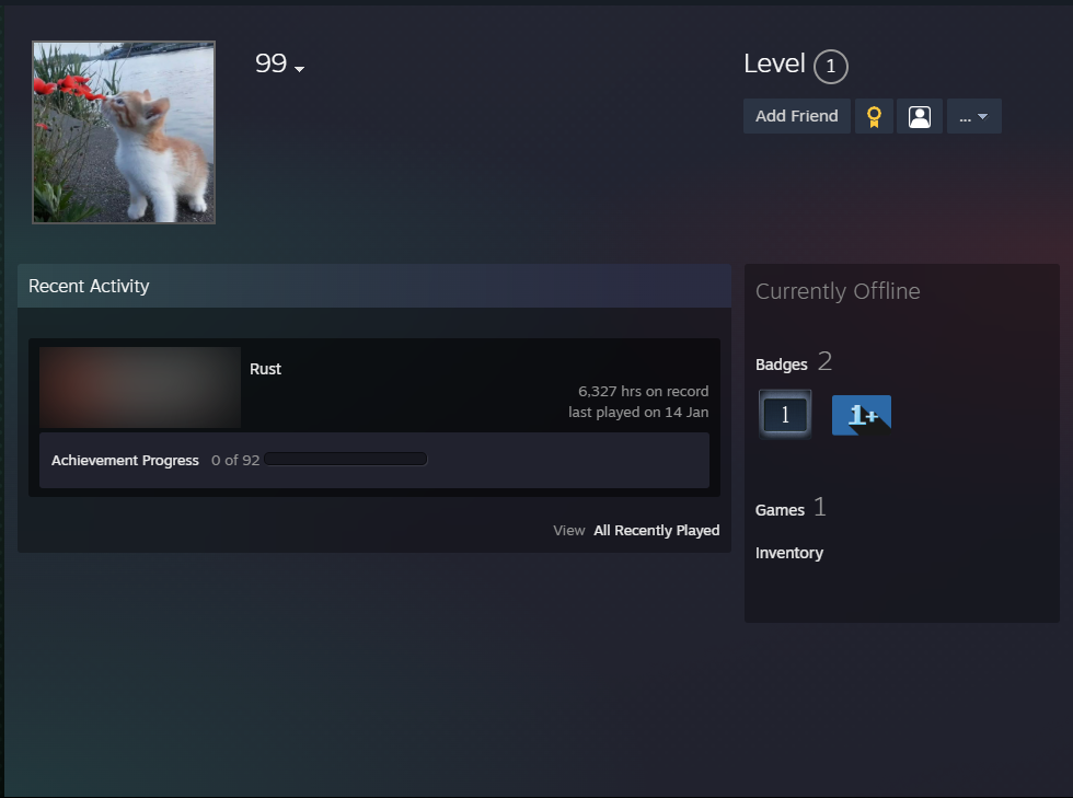 6338 hours Rust account | 61 Twitch Drops | Full access | No 5$ limit ...