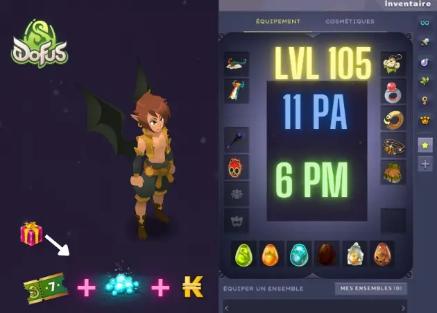 [Draconiros] ENIRIPSA 105 + Max opti + stuff + x6 dofus+ abo + kamas ...