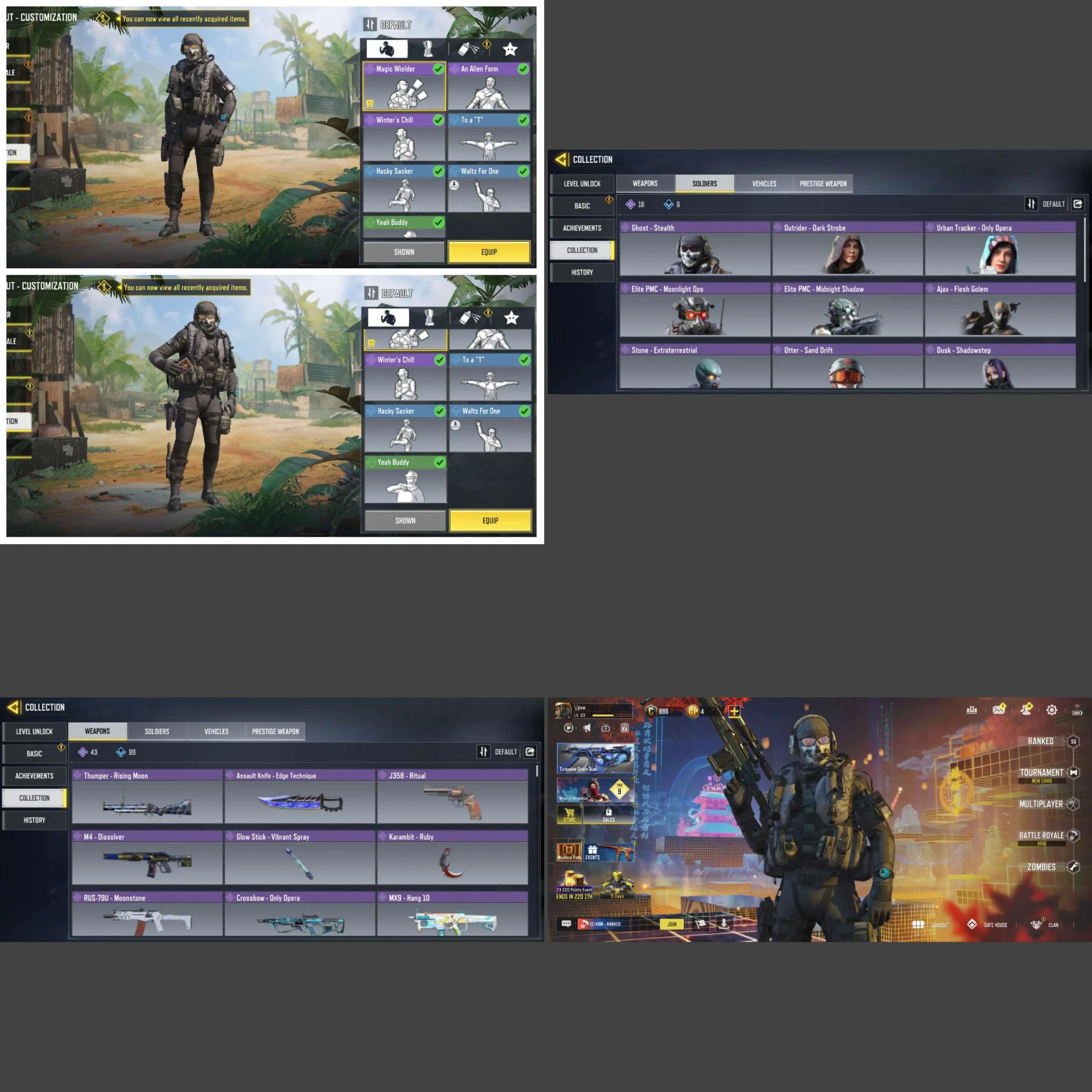 Guns: Epic43 Skins:All22 Dances:All7 Only Activision Instant Delivery ...