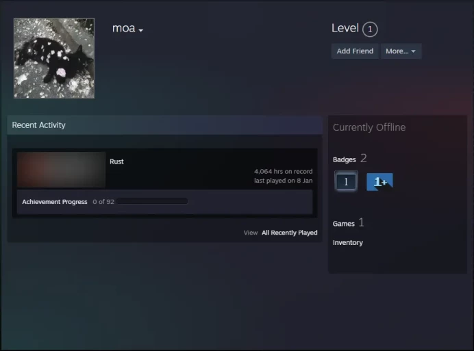 4064 hours Rust account | 61Twitch Drops | Full access | No 5$ limit ...