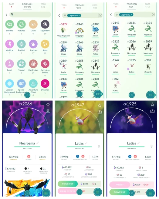 e446~MEGA RAYQUAZA 5K~Shiny: Zacian, Lugia~Legendary: 19~Shiny: 19 ...