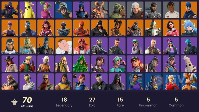 FULL ACCESS | 70 SKINS | ROGUE AGENT - iGV